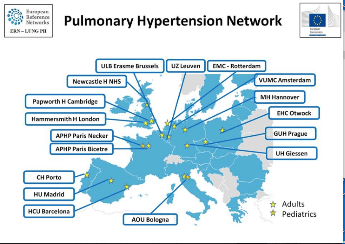 What are the European Reference Networks (ERNs) and why it is important ...