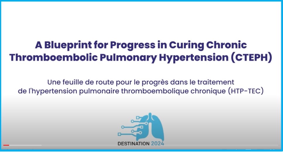 The RHU DESTINATION 2024 project to enhance the care of chronic ...